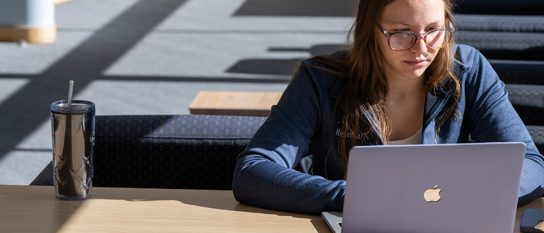 Dissertation Completion Program | Center for Social Science Innovation ...